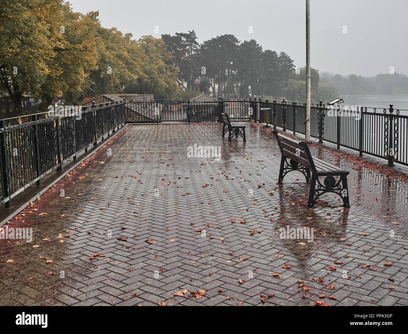 Roath park view hi-res stock photography and images - Alamy