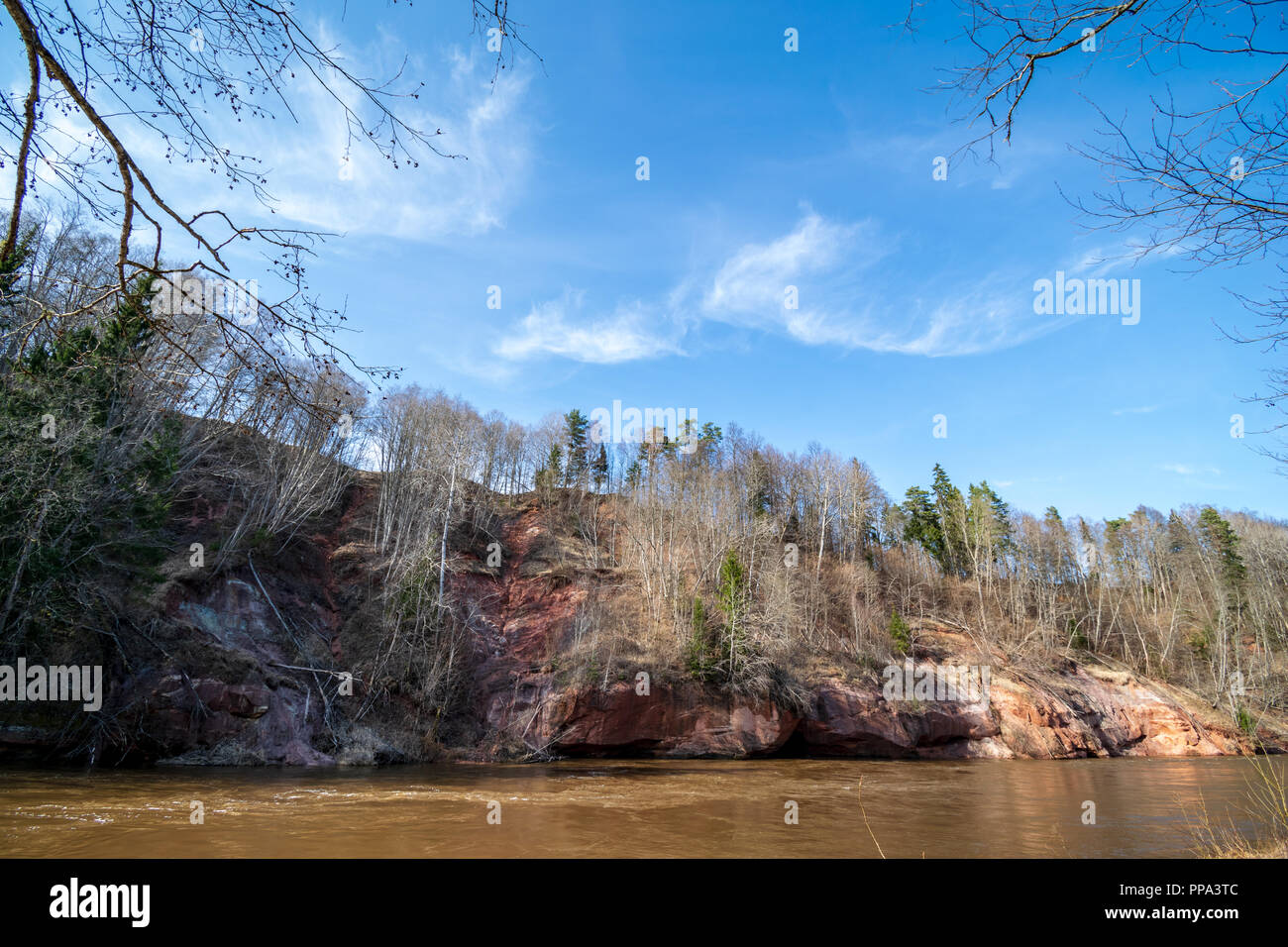 lake shore with grass and trees in spring countryside scene. high water ...