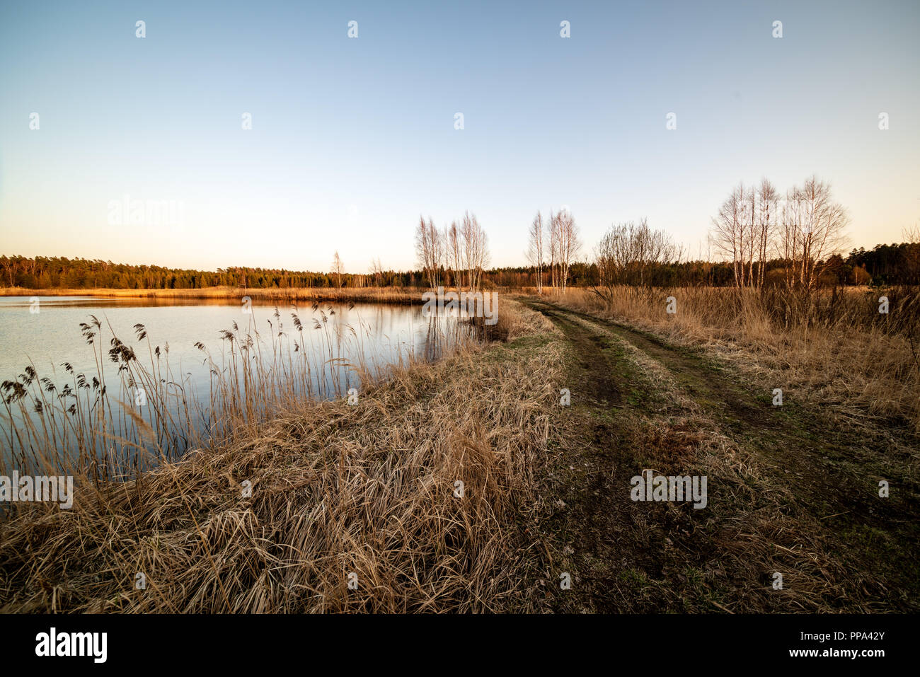 lake shore with grass and trees in spring countryside scene. high water ...