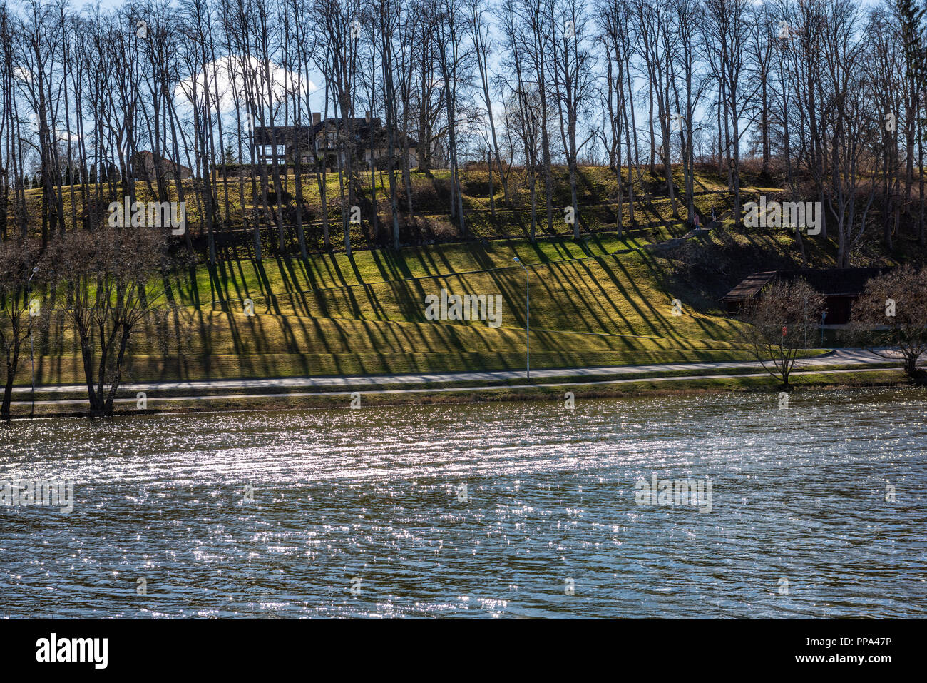 lake shore with grass and trees in spring countryside scene. high water ...