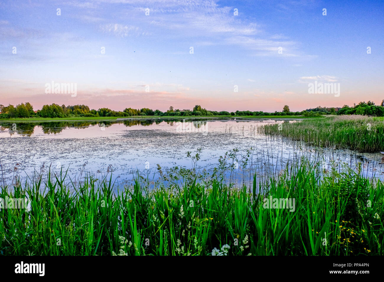 countryside scene by the lake at sunset with trees over the pond and ...