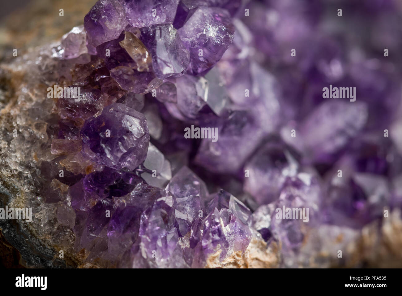 Beautiful Druse amethyst on dark wooden background Stock Photo - Alamy