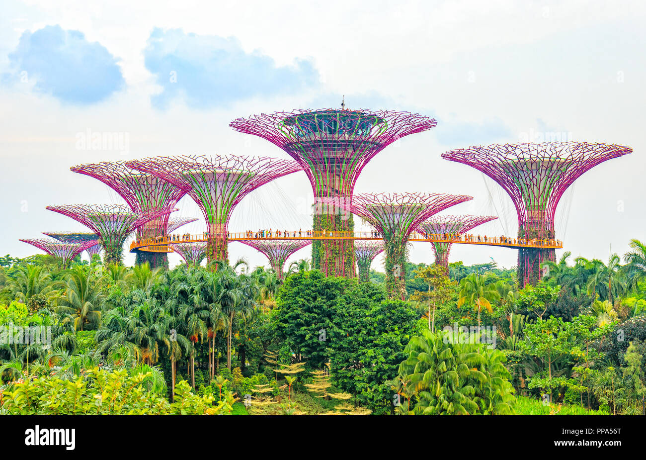 Singapore - July 14, 2018: The Supertrees At Gardens By The Bay In ...