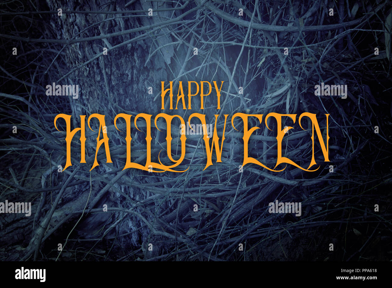 Halloween mysterious background of dark and haunted forest with text ...