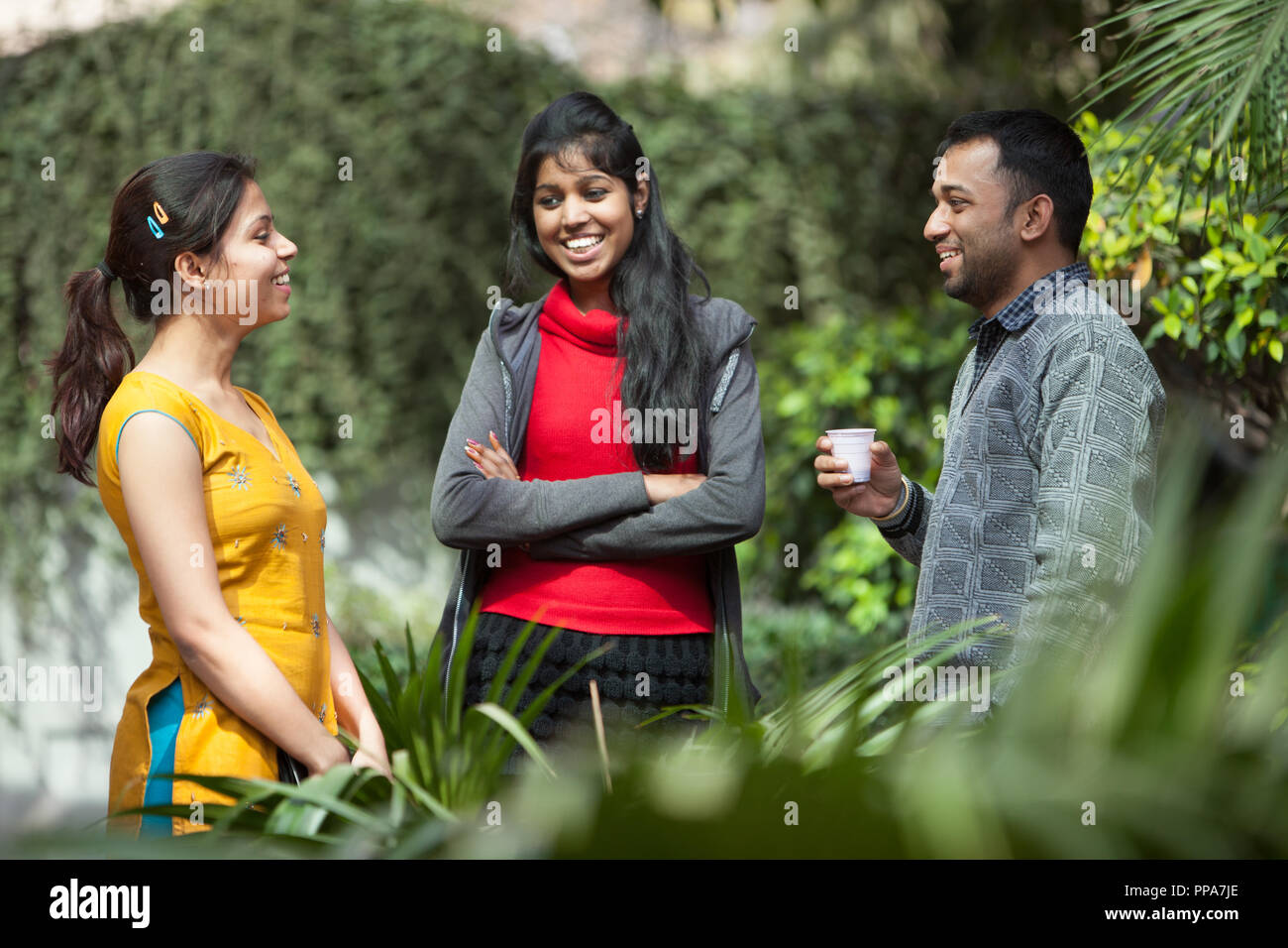 Indian Young professionals chatting Stock Photo - Alamy