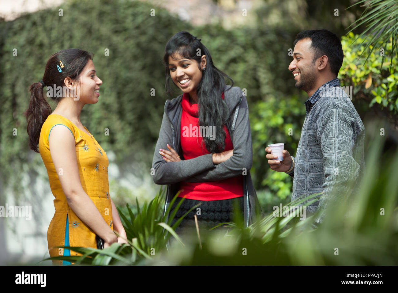 Indian Young professionals chatting Stock Photo - Alamy