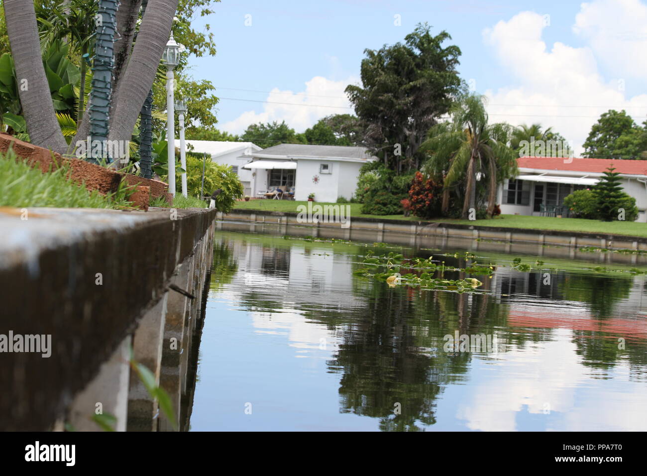 Little River in Florida Stock Photo - Alamy