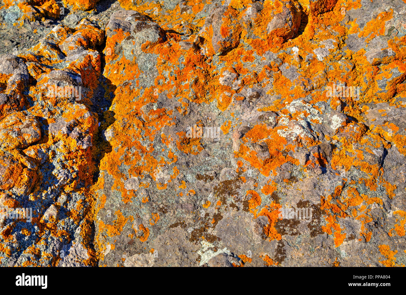 Stone surface background closeup Stock Photo - Alamy