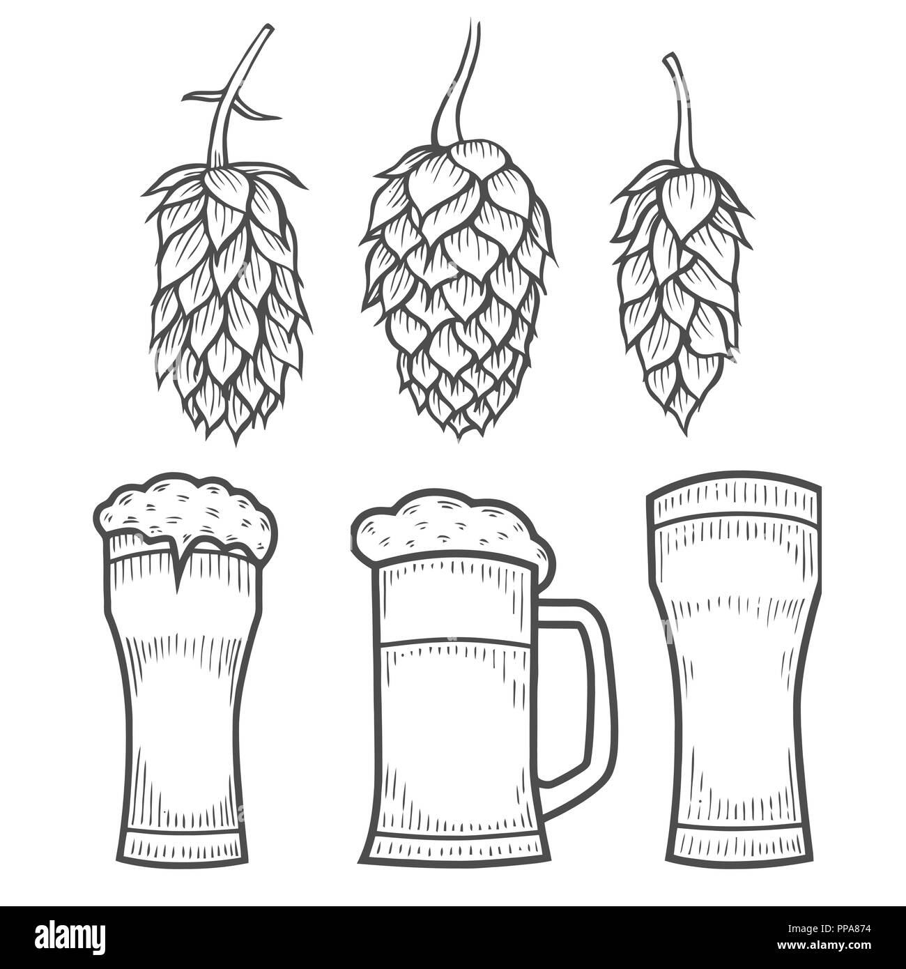 Glass of beer and hop isolated on white background, hand-drawing ...