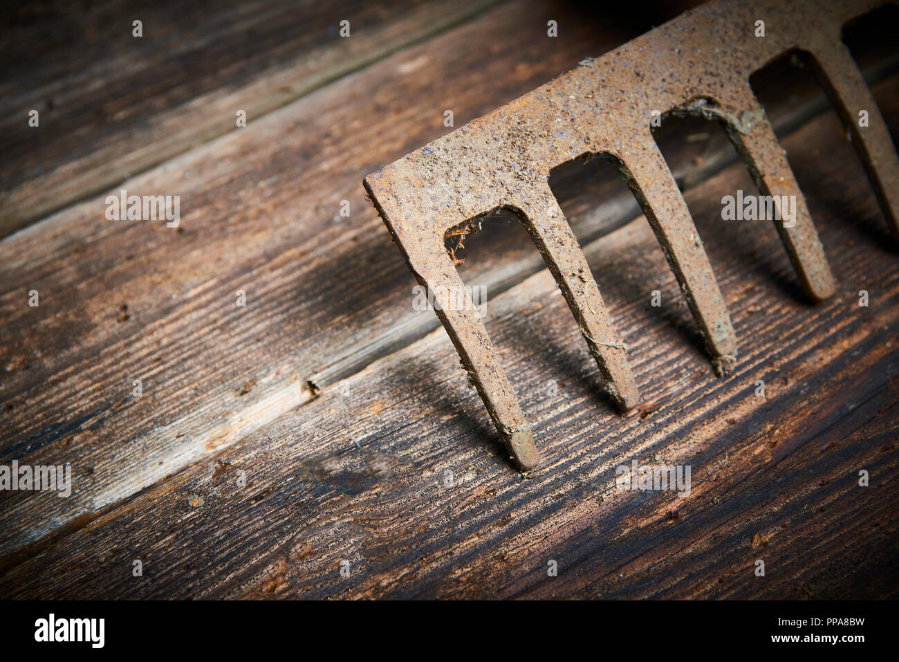 Old rusty rake lying on a bare wooden board. Selective focus Stock ...
