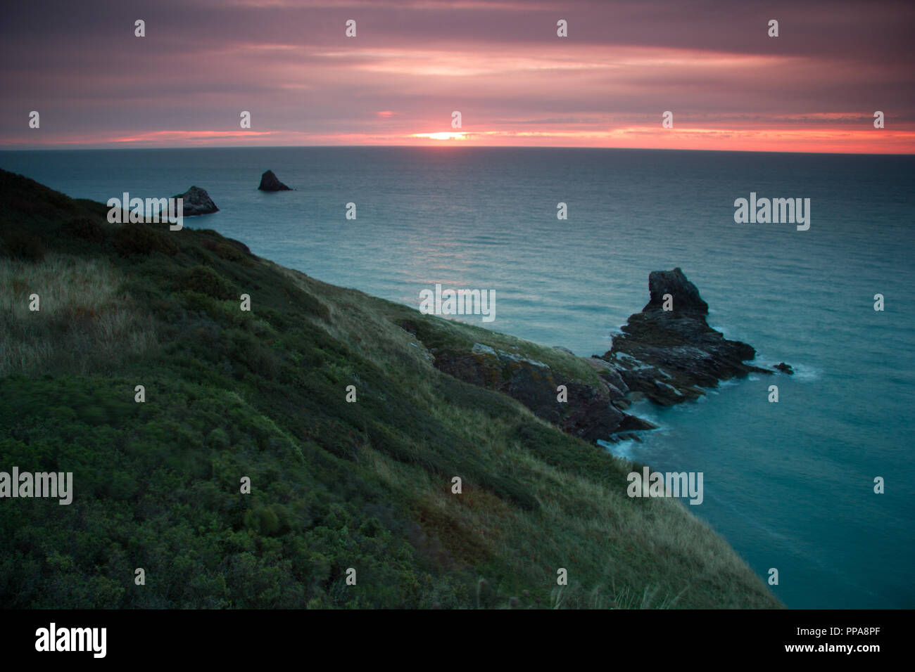 Brixham berry head hi-res stock photography and images - Alamy