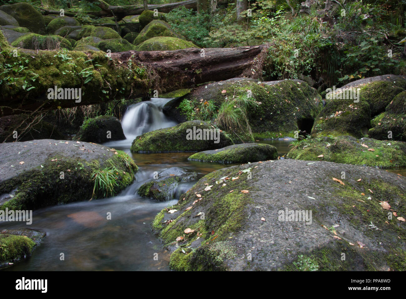 Becky falls dartmoor hi-res stock photography and images - Alamy