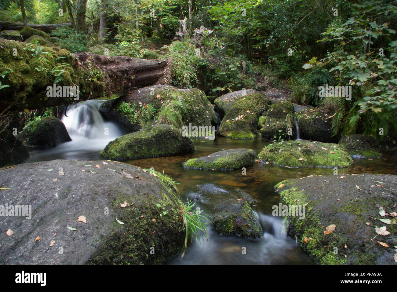 Becky falls dartmoor hi-res stock photography and images - Alamy