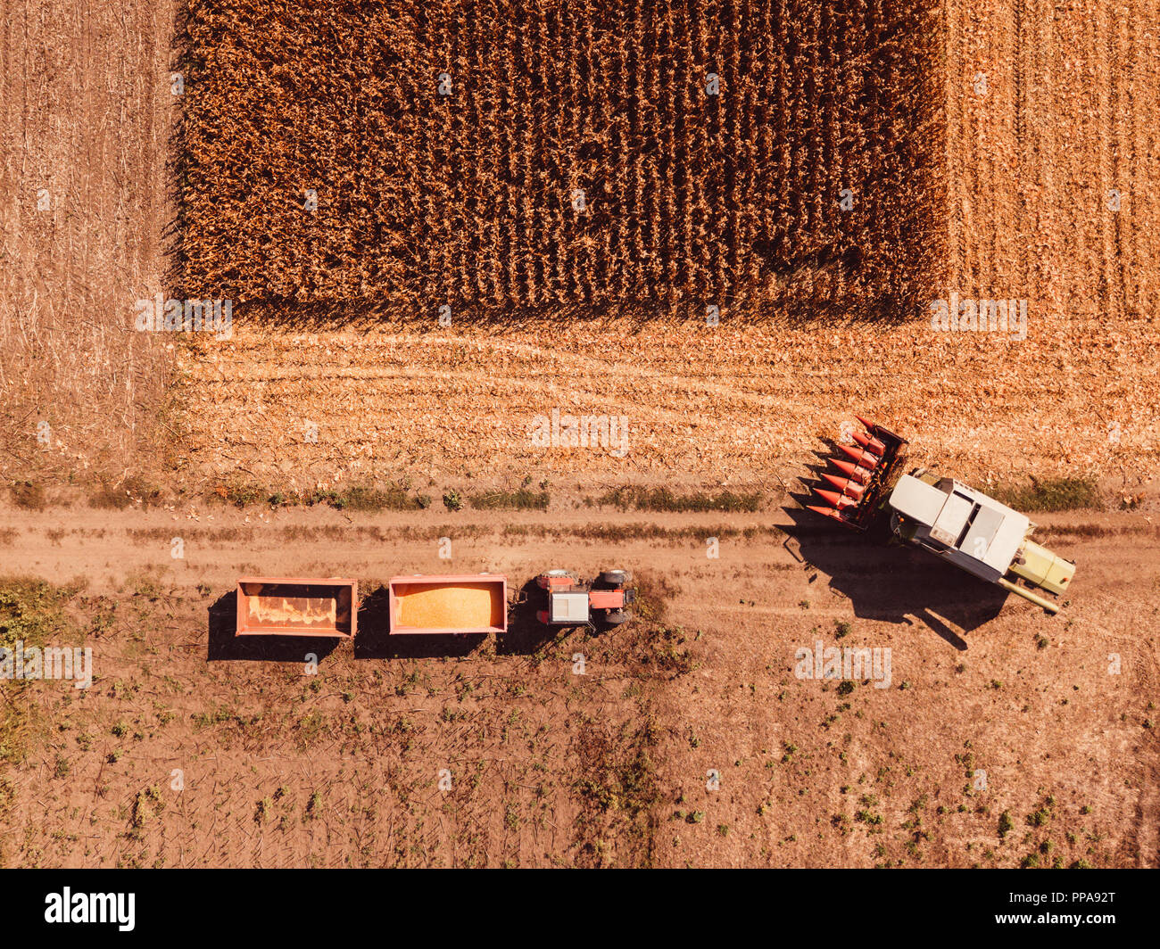 Aerial photography of combine harvester pouring harvested corn kernels ...