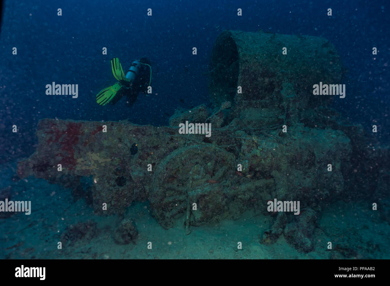 Coral reefs and water plants in the Red Sea, colorful and full of ...