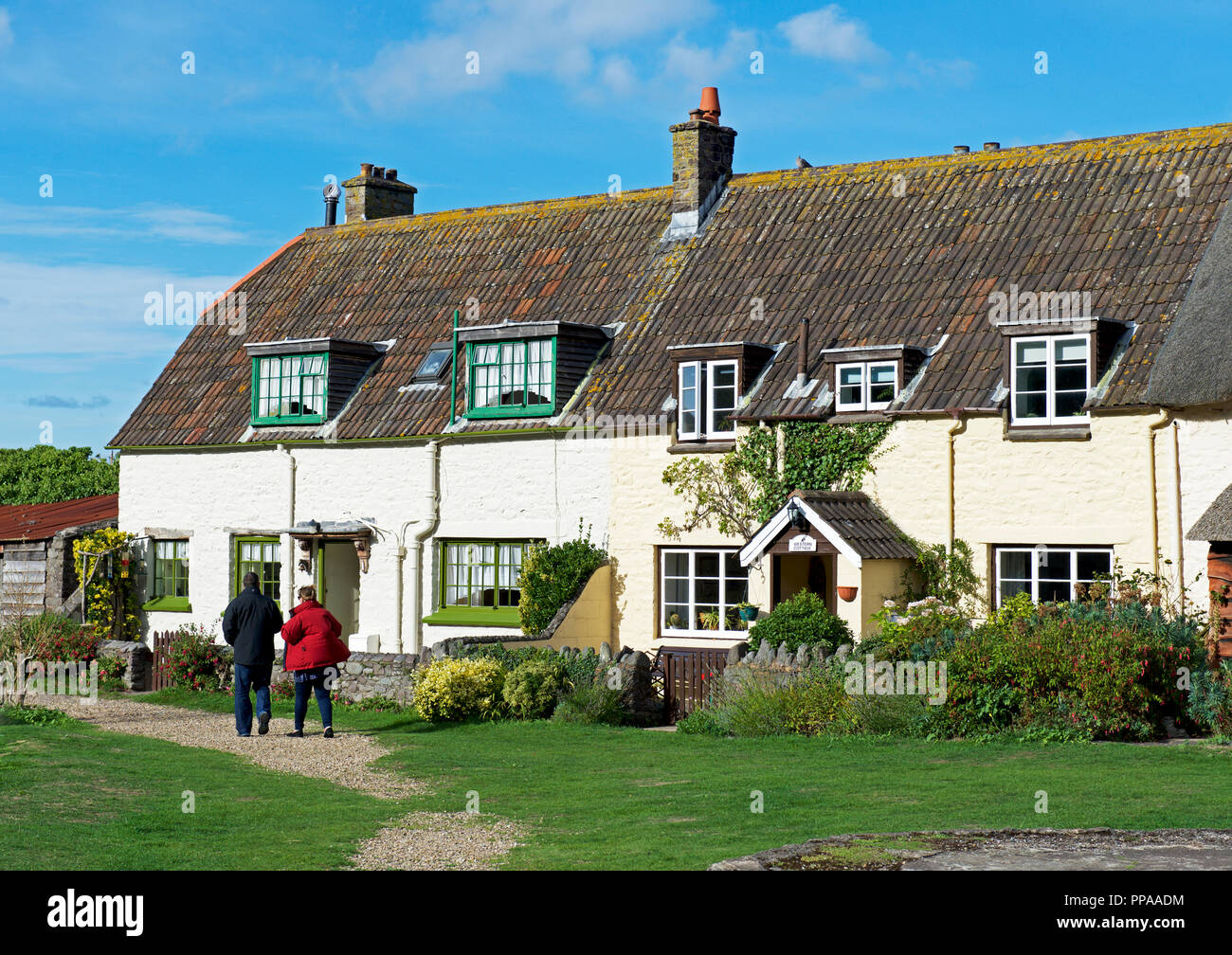 Cottages at Porlock Weir, Devon, England UK Stock Photo - Alamy