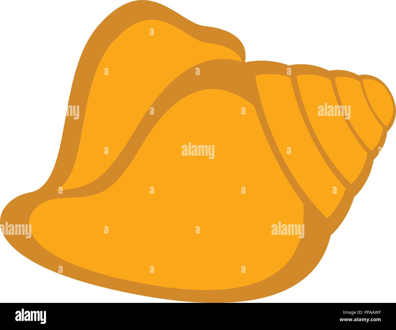 Isolated beach seashell icon Stock Vector Image & Art - Alamy