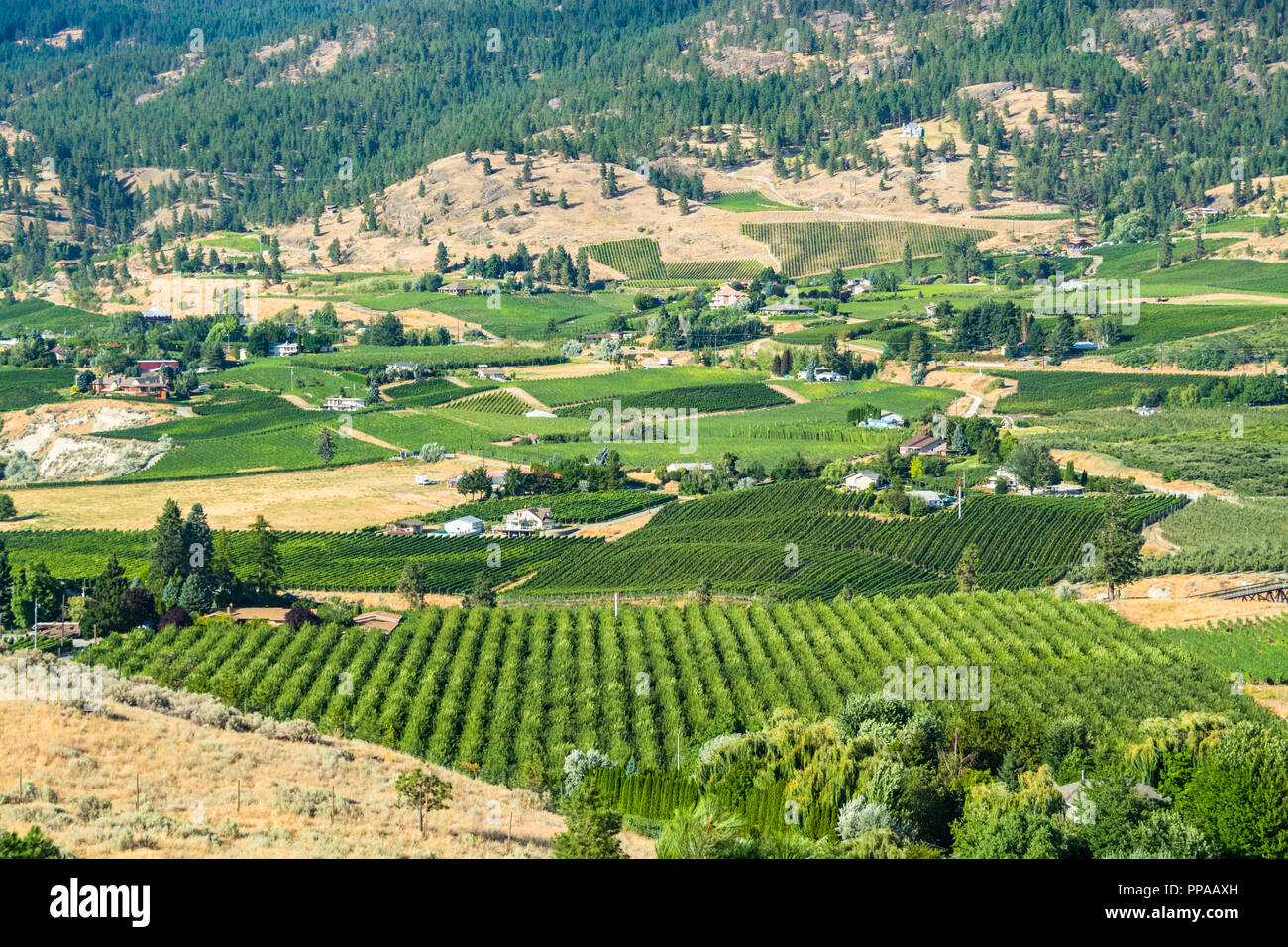 Day farms hi-res stock photography and images - Alamy