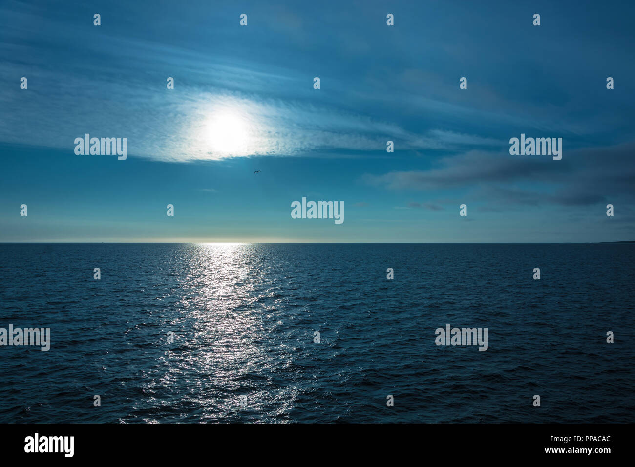 Backlit on white hi-res stock photography and images - Alamy