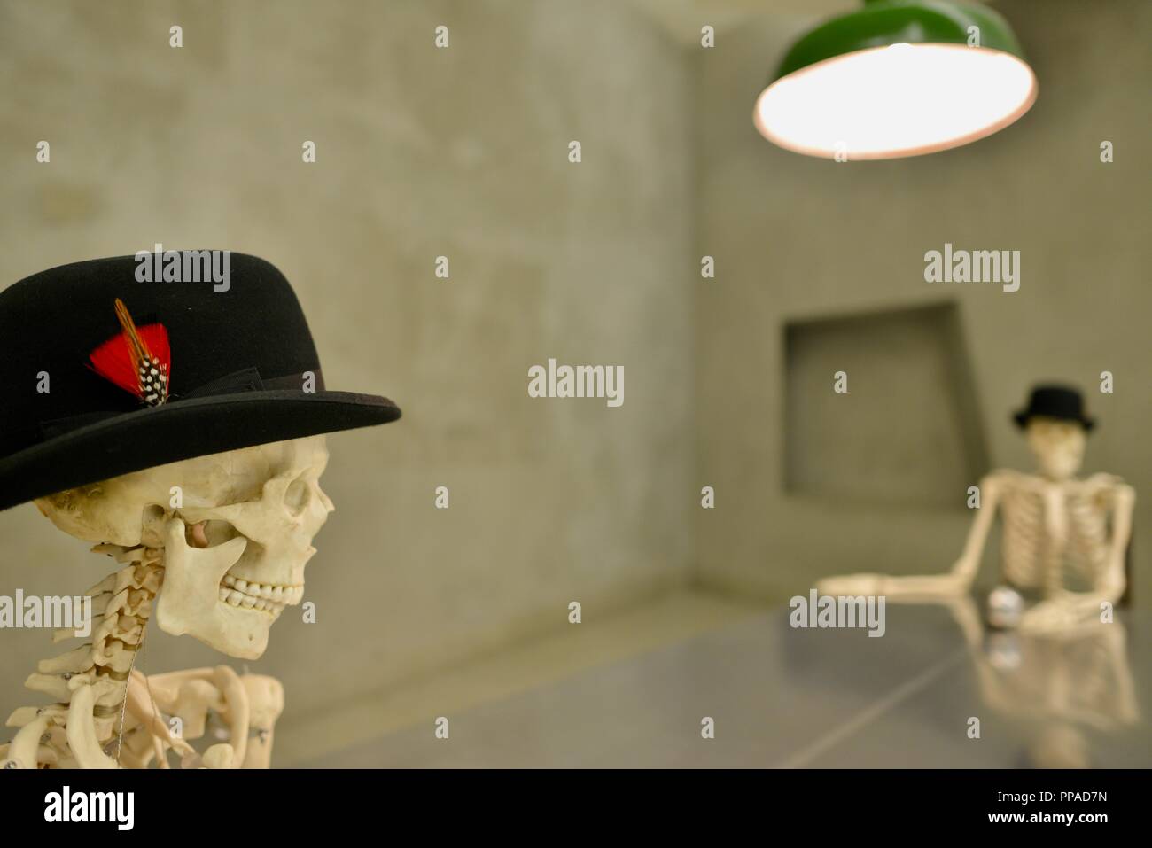 Skeletons sitting at a table, The Australian centre for the moving ...