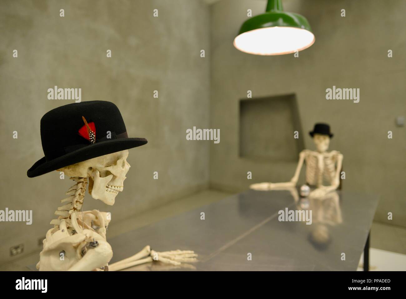 Skeletons sitting at a table, The Australian centre for the moving ...