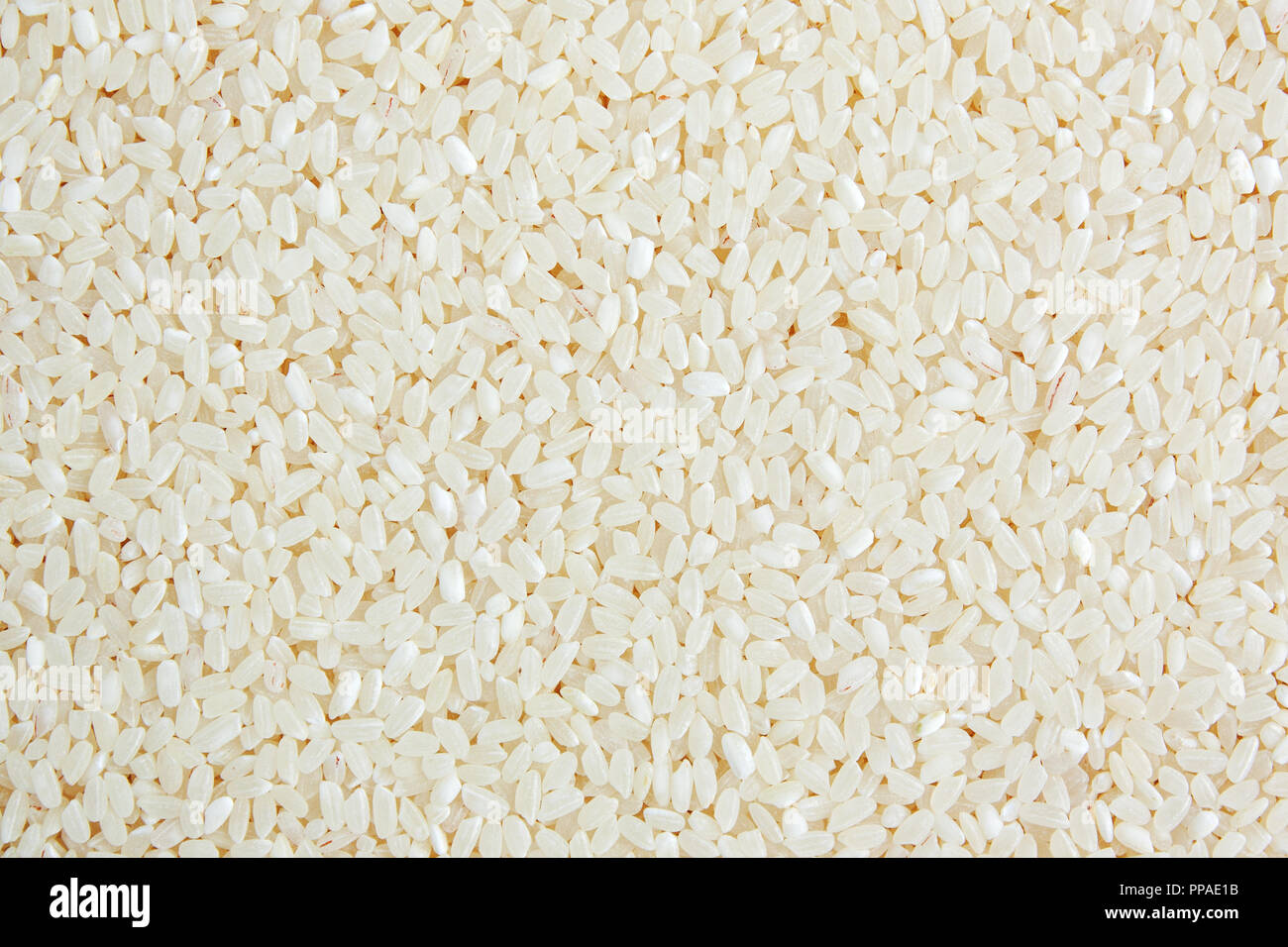White rice background,backdrop or texture Stock Photo - Alamy