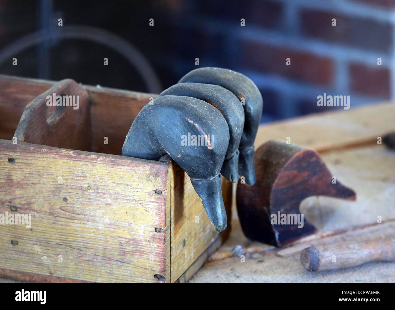 Decoys heads hi-res stock photography and images - Alamy
