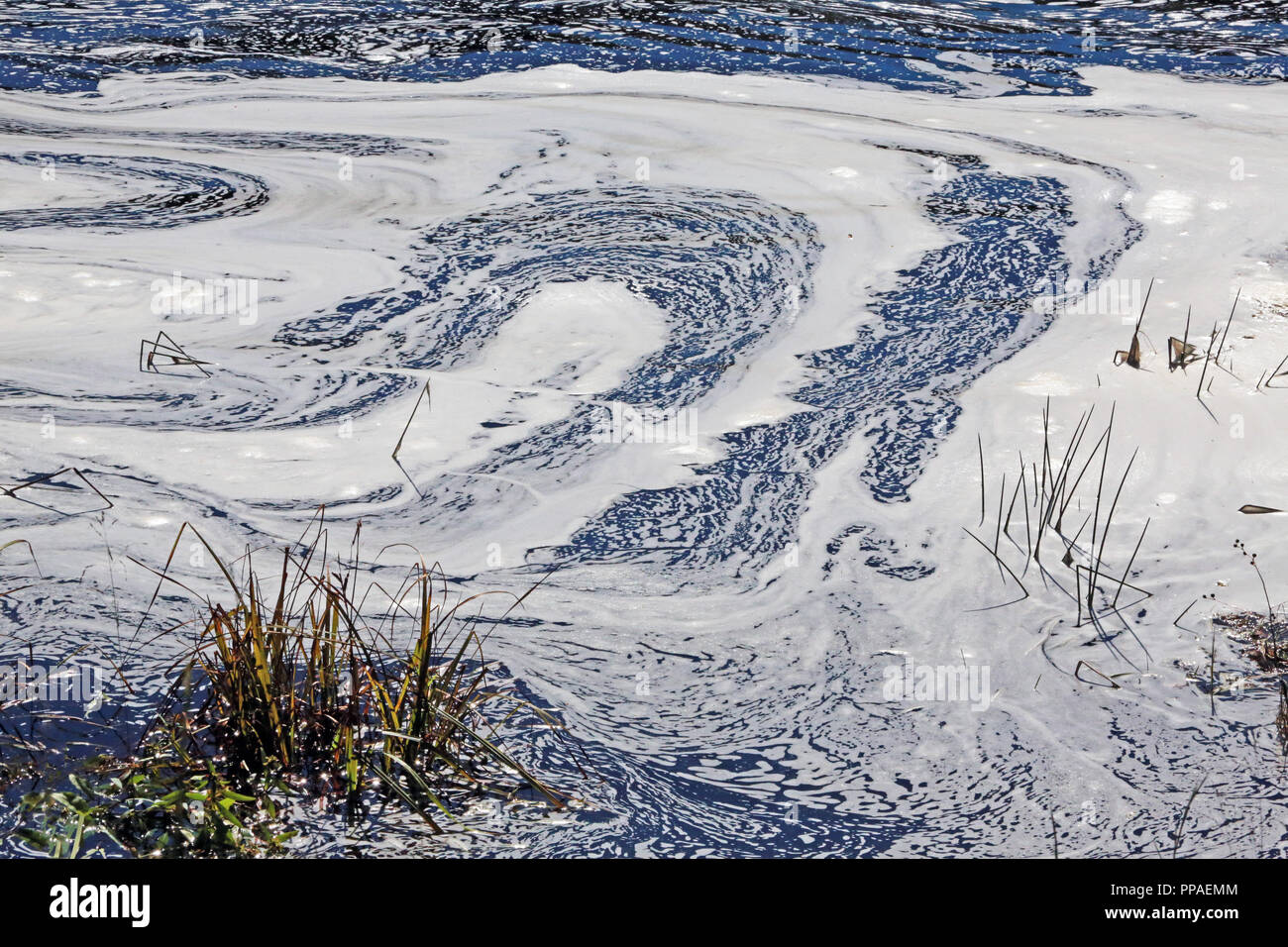 frothy swirling foamy water below saw mill dam Stock Photo - Alamy