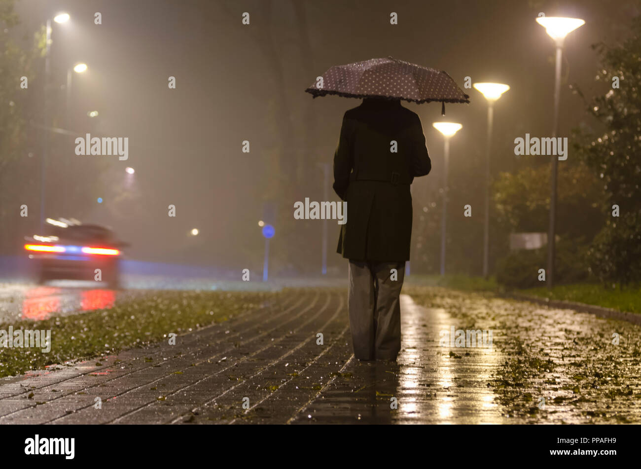 Walking In Rain At Night