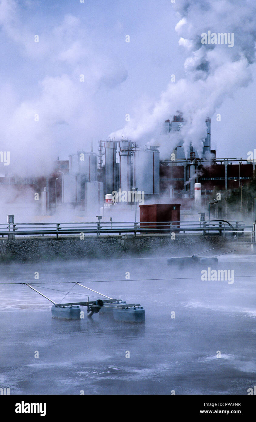 Pulp mill logging pulp hi-res stock photography and images - Alamy