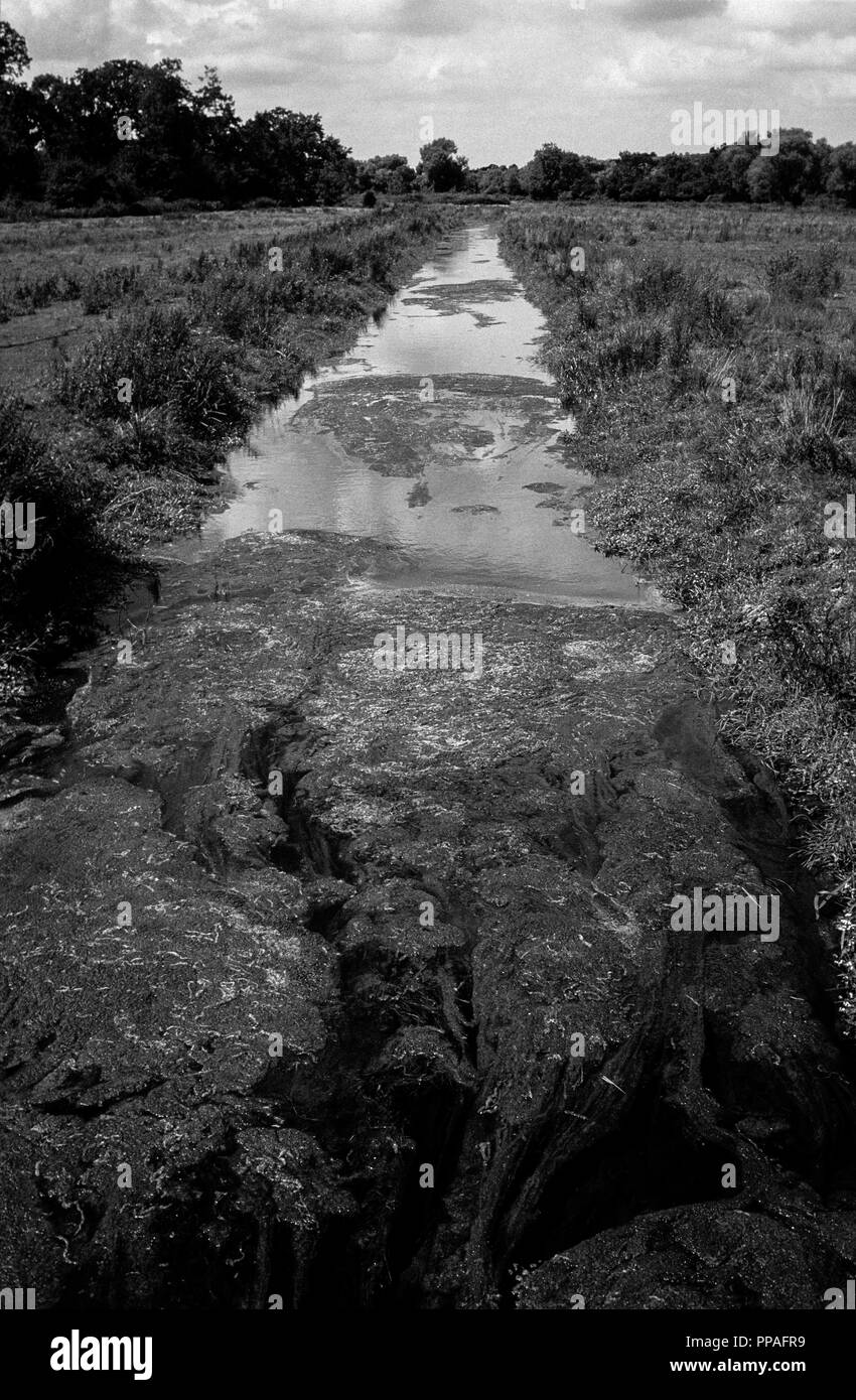 Habitat meadows Black and White Stock Photos & Images - Alamy