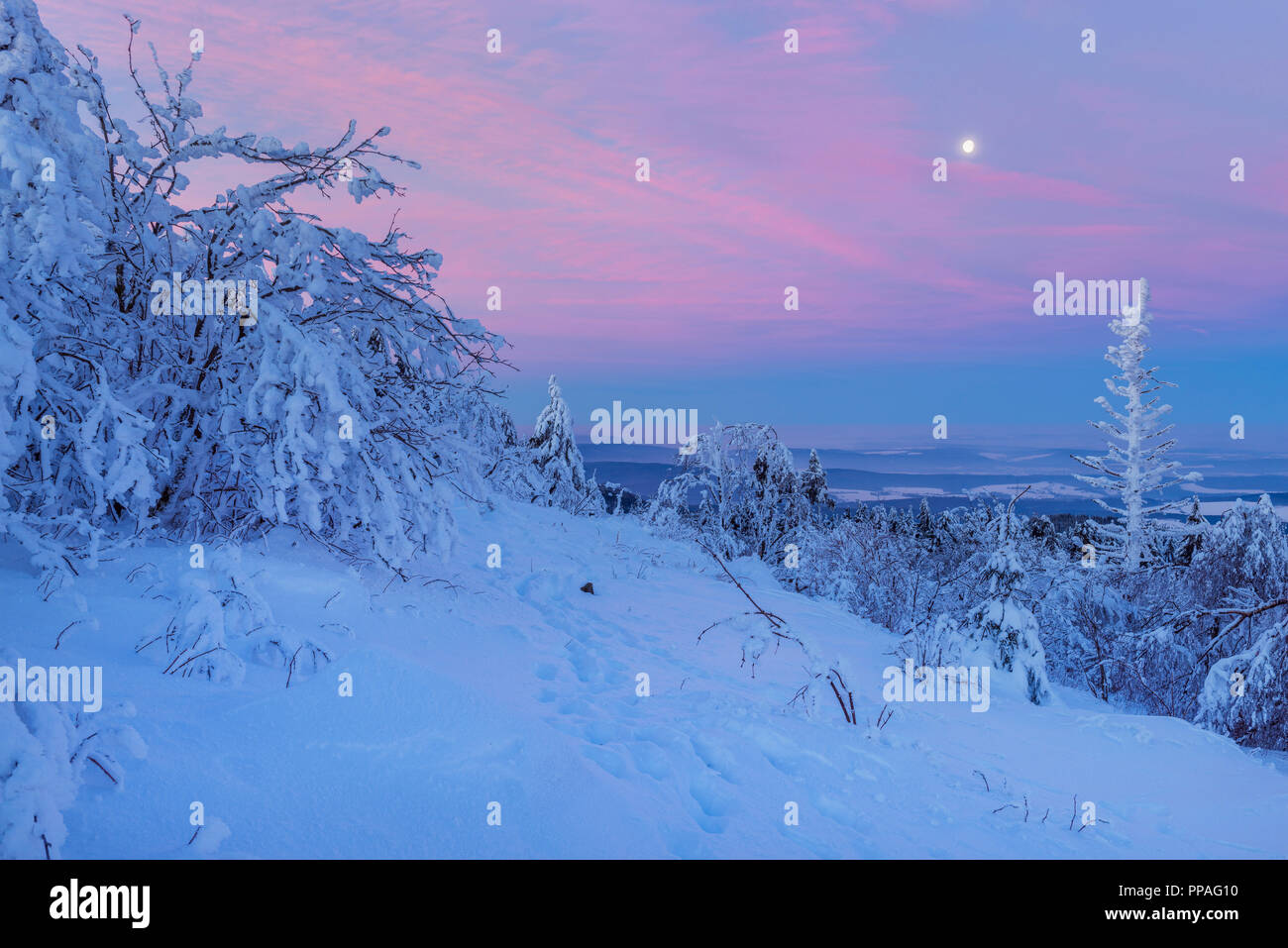 Snow Covered Winter Landscape at Dawn. Grosser Feldberg, Frankfurt ...