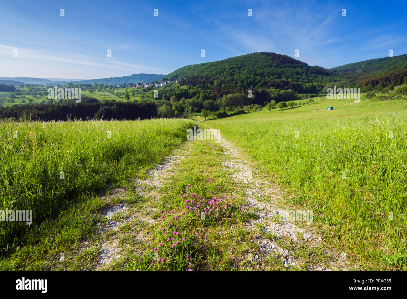 Field Path in Spring, Weiler-Boppard, Boppard, Rhein-Hunsrueck-District ...