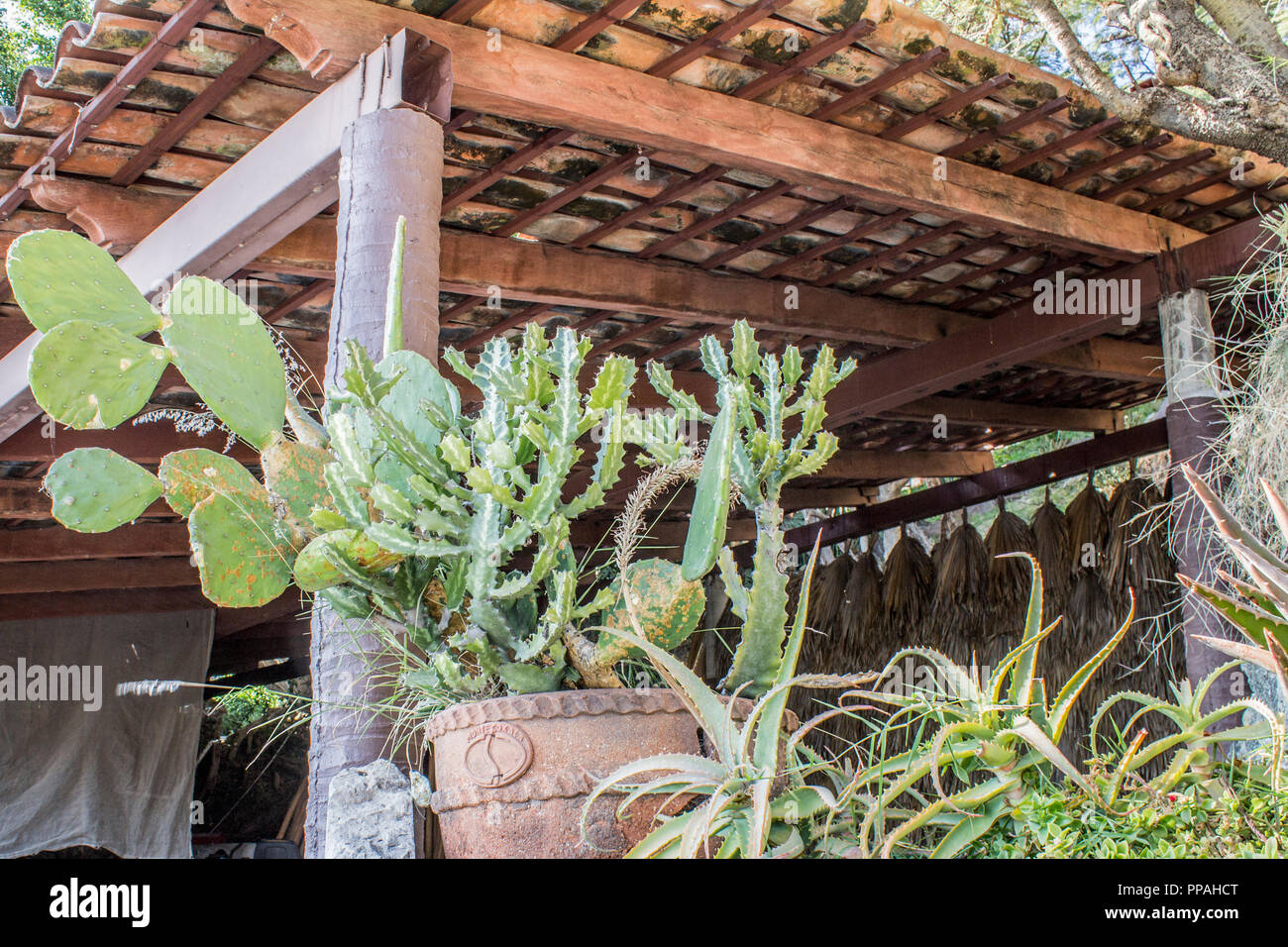 Shingle ceiling hi-res stock photography and images - Alamy