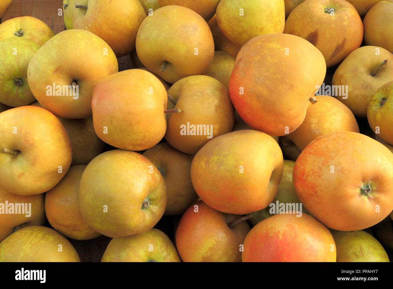 Russet Apples High Resolution Stock Photography and Images - Alamy