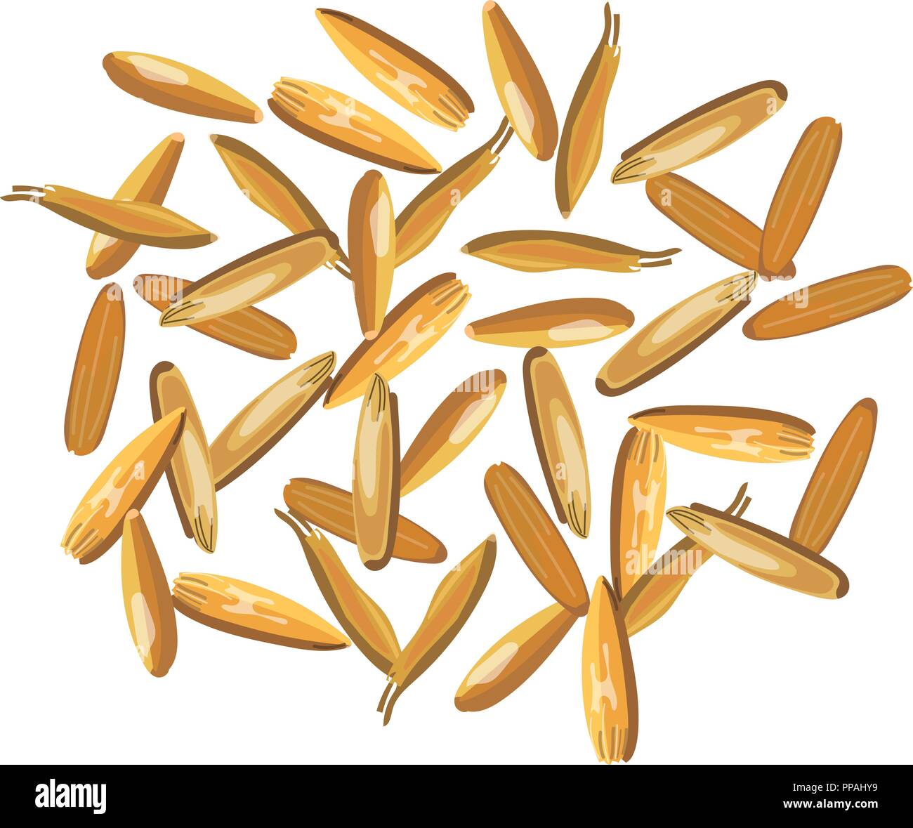 barley. Cereal. Different types of grain. Vector illustration EPS 10 ...
