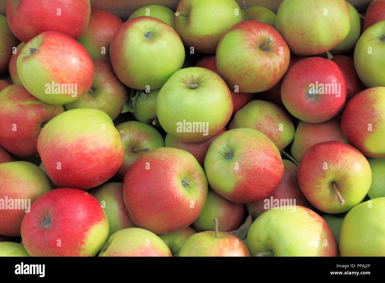 Apple, Crown of Gold, apples, malus domestica, farm shop, display ...