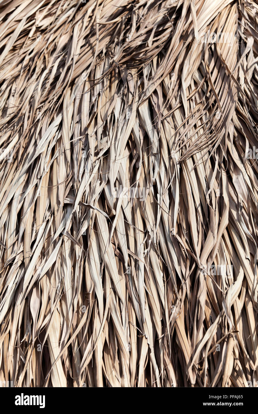 Thatch roof texture background hi-res stock photography and images - Alamy