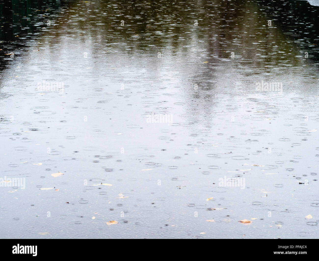 Rainy Road Surface High Resolution Stock Photography and Images - Alamy