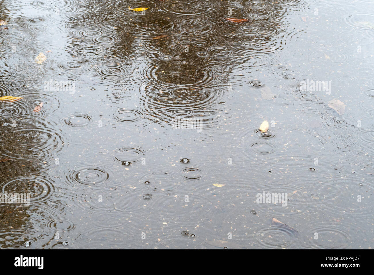 Raindrops Falling On Puddle High Resolution Stock Photography and ...