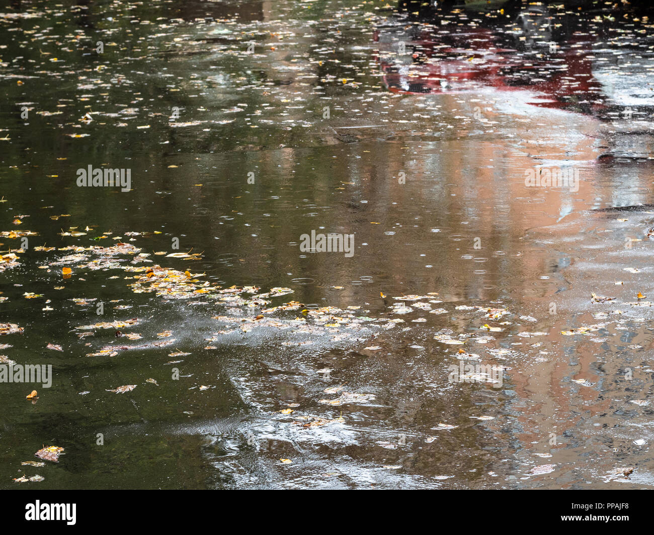 Rainy Road In Autumn High Resolution Stock Photography and Images - Alamy
