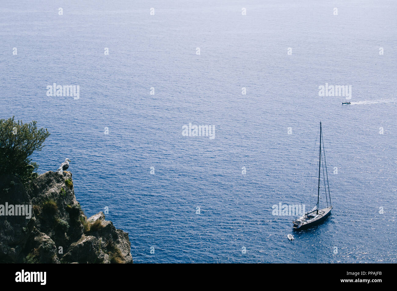 Blue bird boat hi-res stock photography and images - Alamy