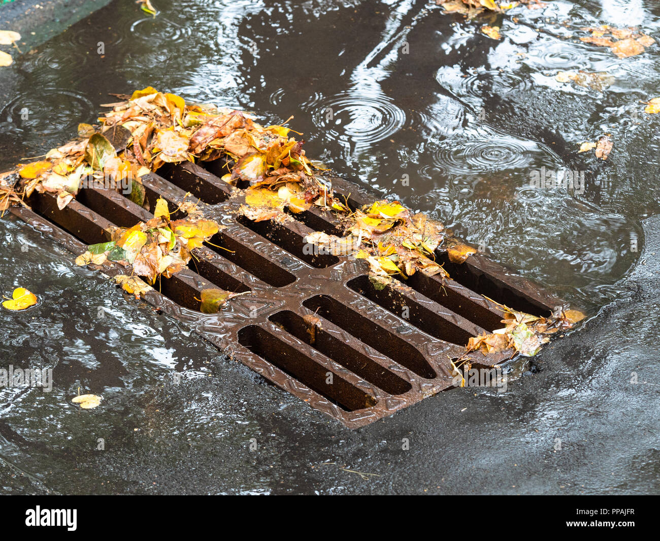 Puddle drain hi-res stock photography and images - Alamy