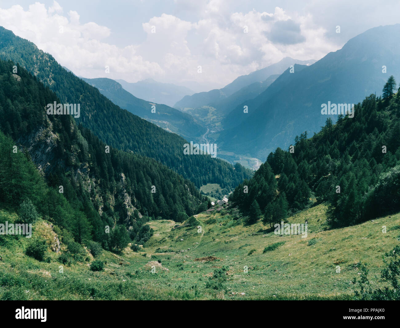 Swiss mountains valley and flowers sky trees green panorama near the ...