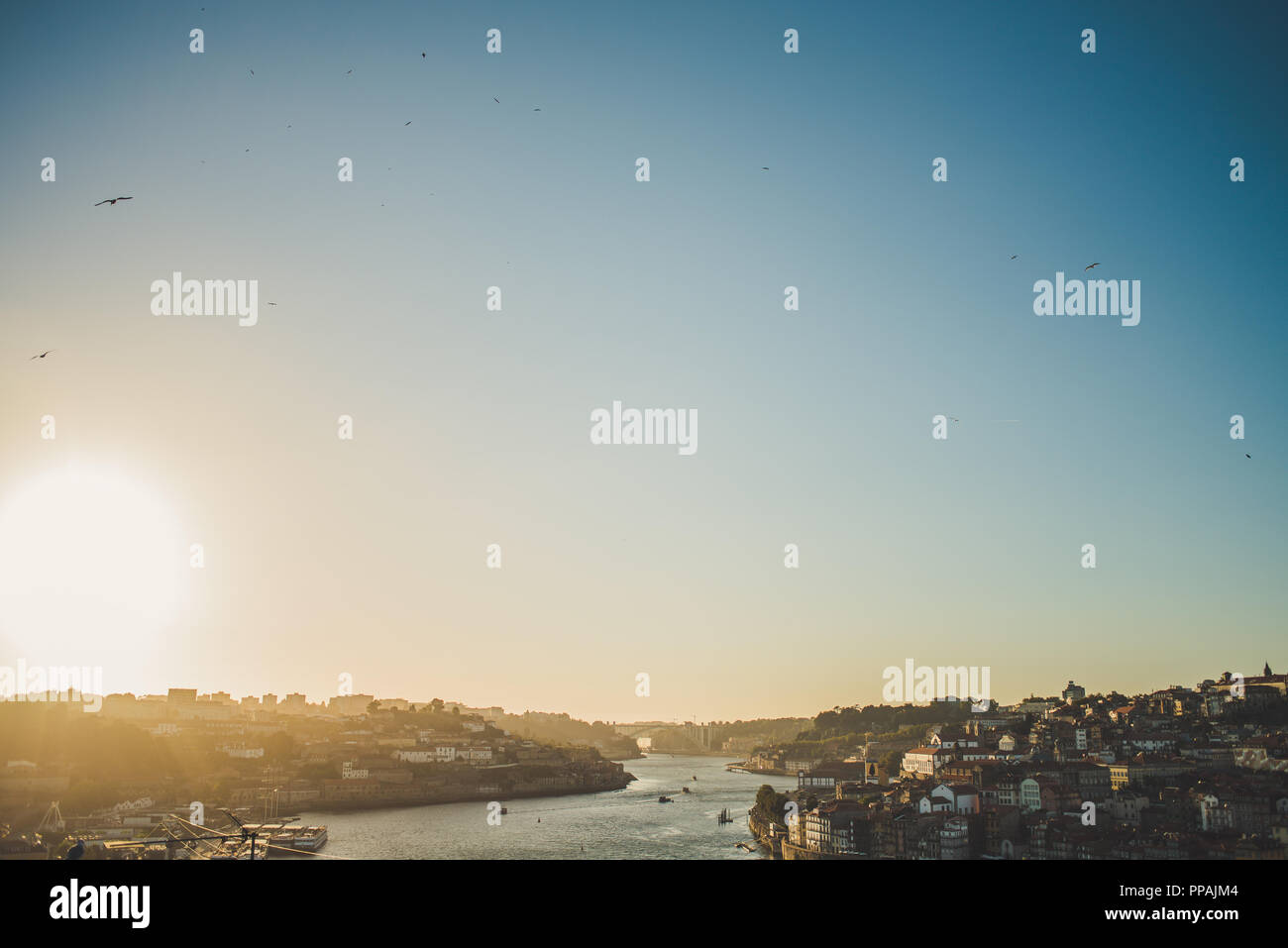 Vinho do porto hi-res stock photography and images - Alamy