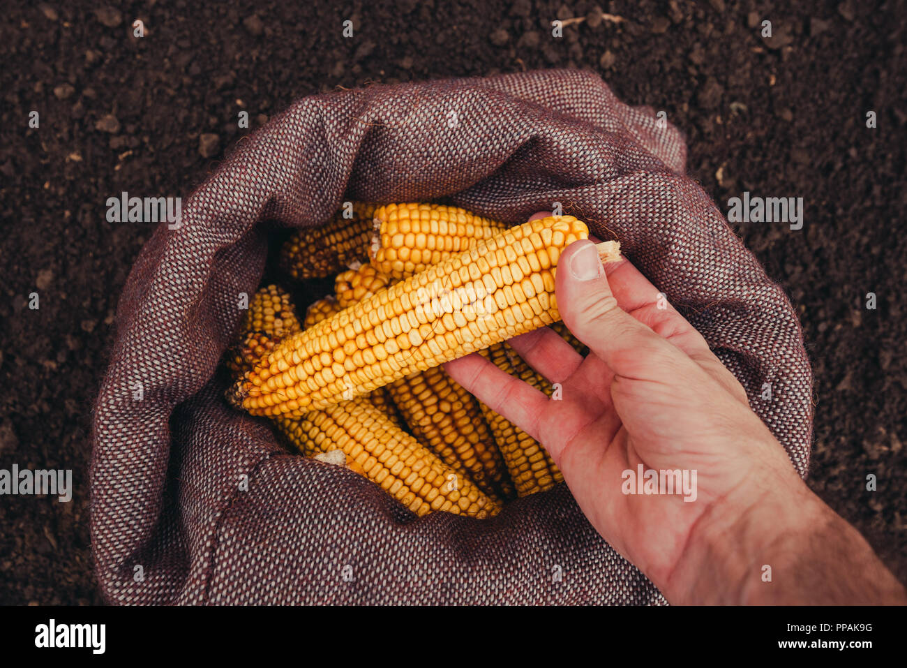 Ground control harvest hi-res stock photography and images - Alamy