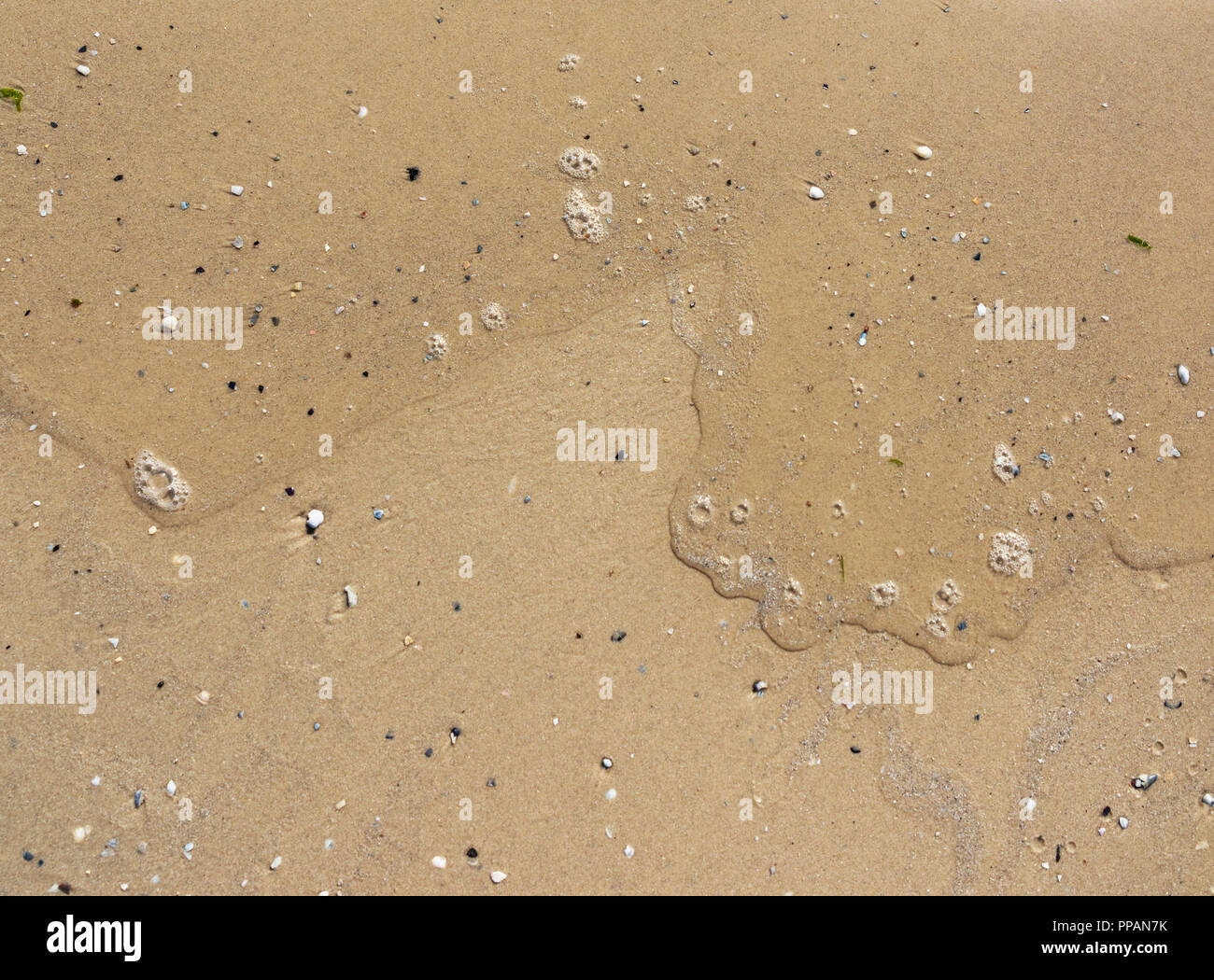 texture of yellow wet sea sand, full frame Stock Photo - Alamy