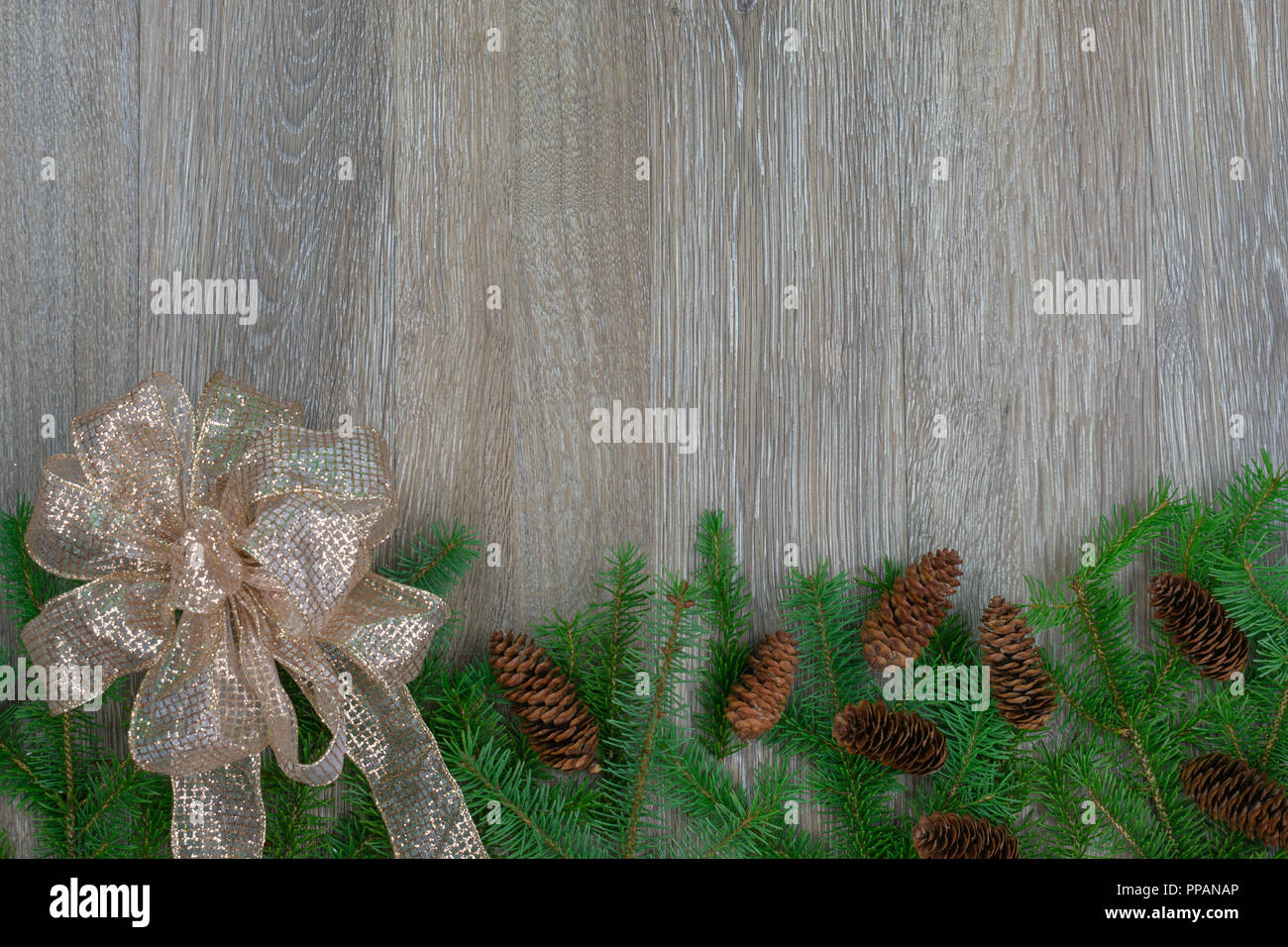A gold bow and spruce pine cones on spruce boughs with copy space Stock ...