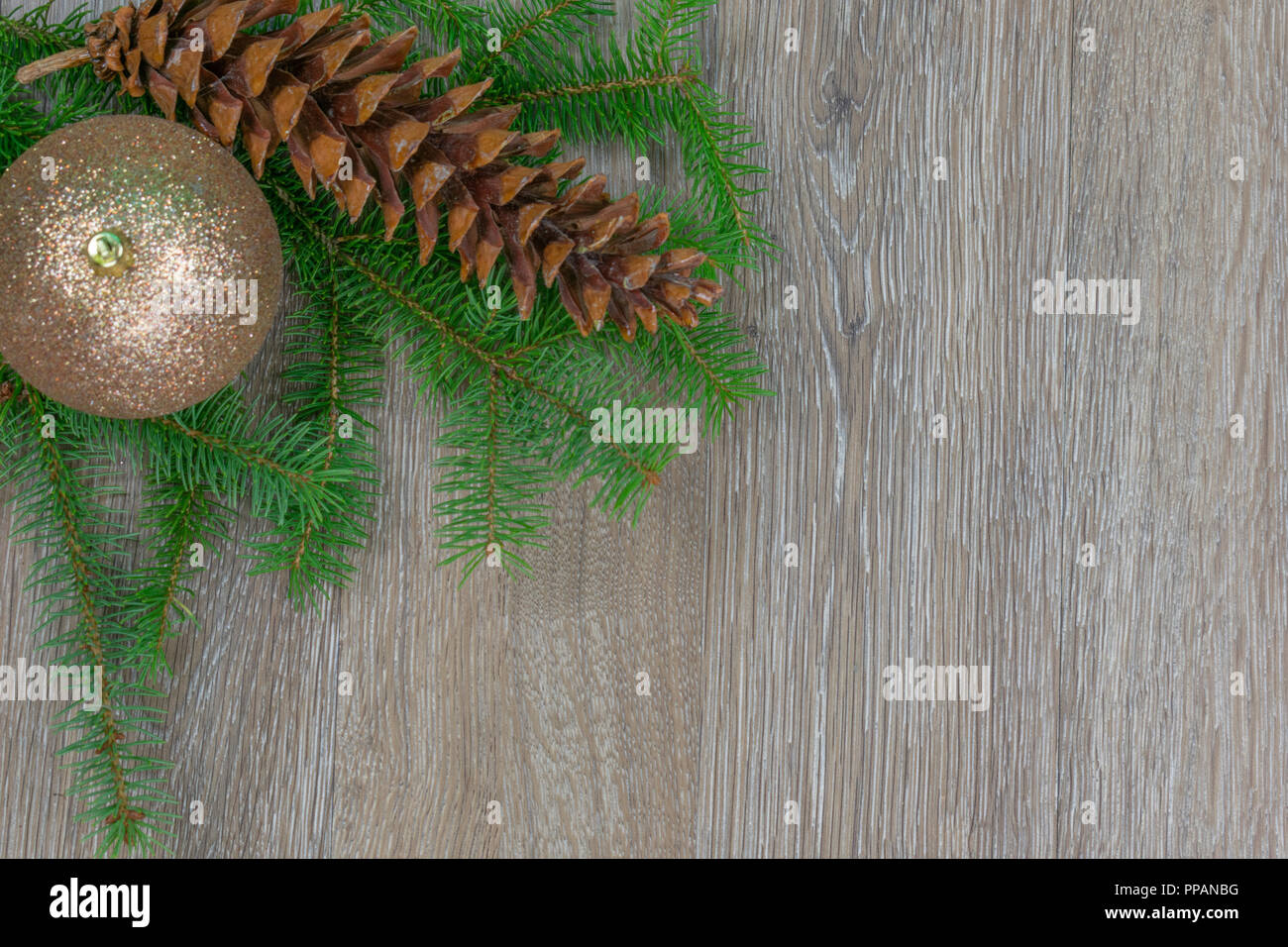 A white pine cone and a gold ornament on spruce boughs with copy space ...