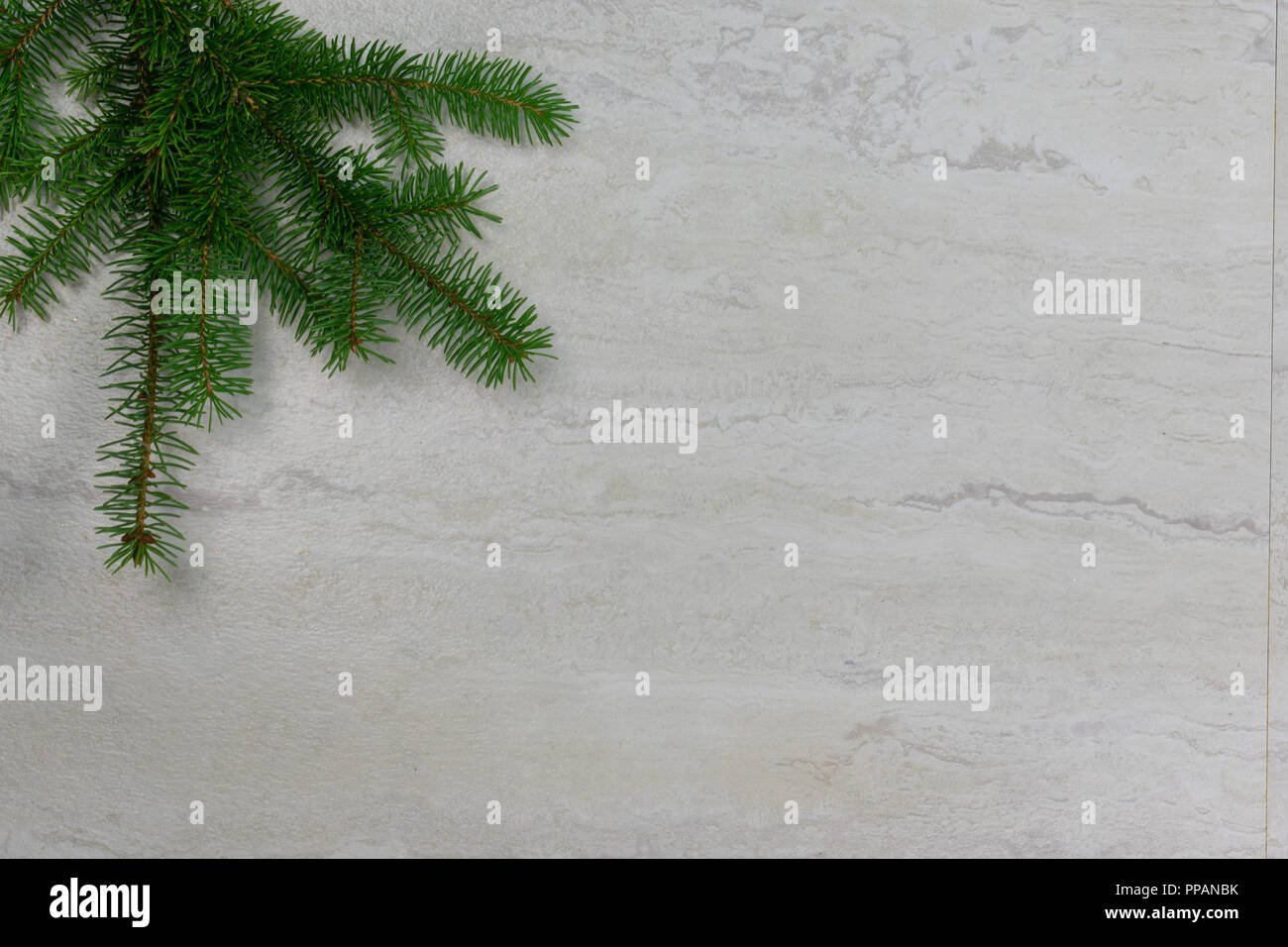 Spruce boughs in the upper left corner with copy space Stock Photo - Alamy